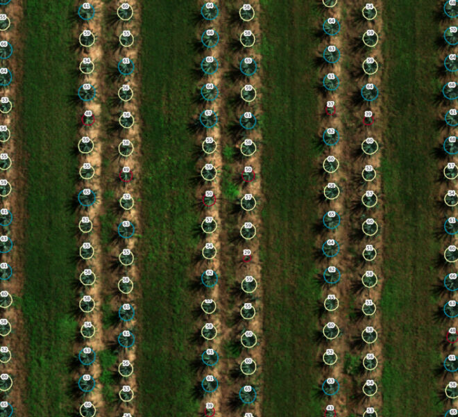 Drone based Phenotyping - Airbourn Insight